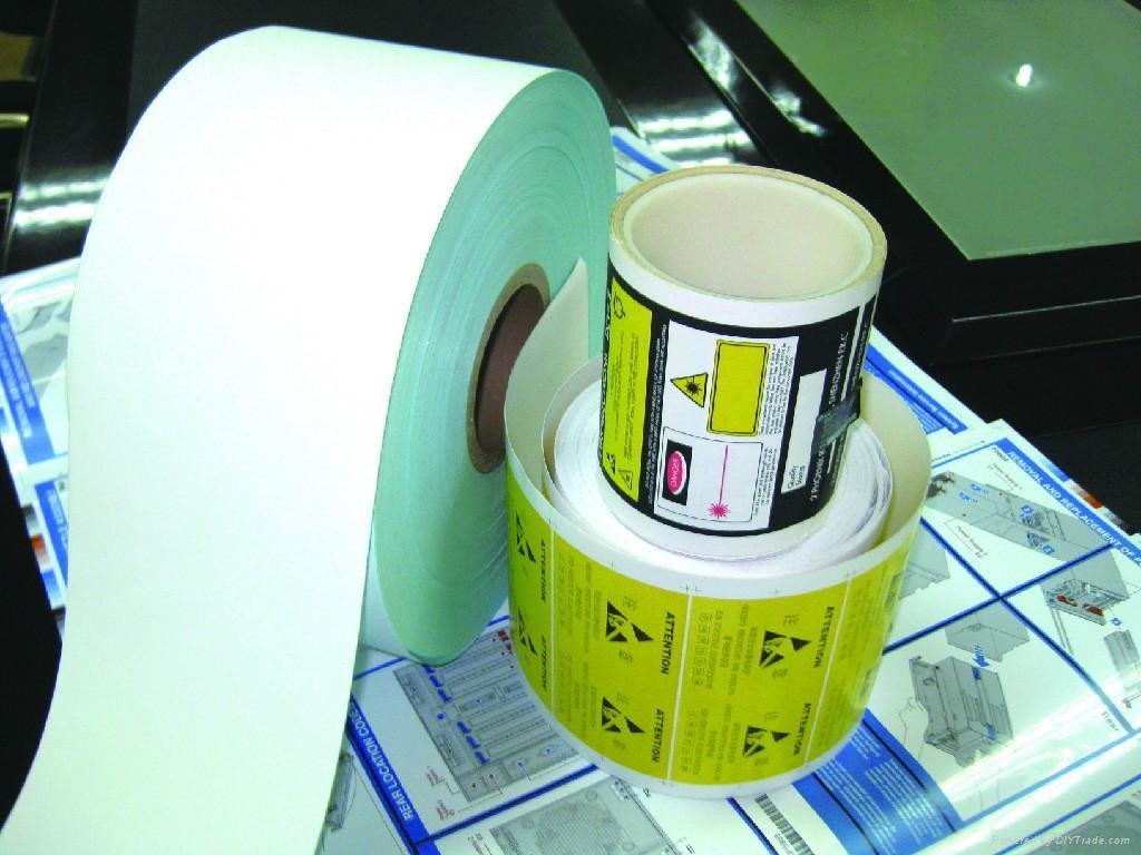 Synthetic Substrates: Film-Based, Paper-Like Options Extend Reach in ...