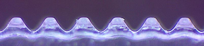 Reducing Fluting Issues While Handling Increased Graphic Requirements ...