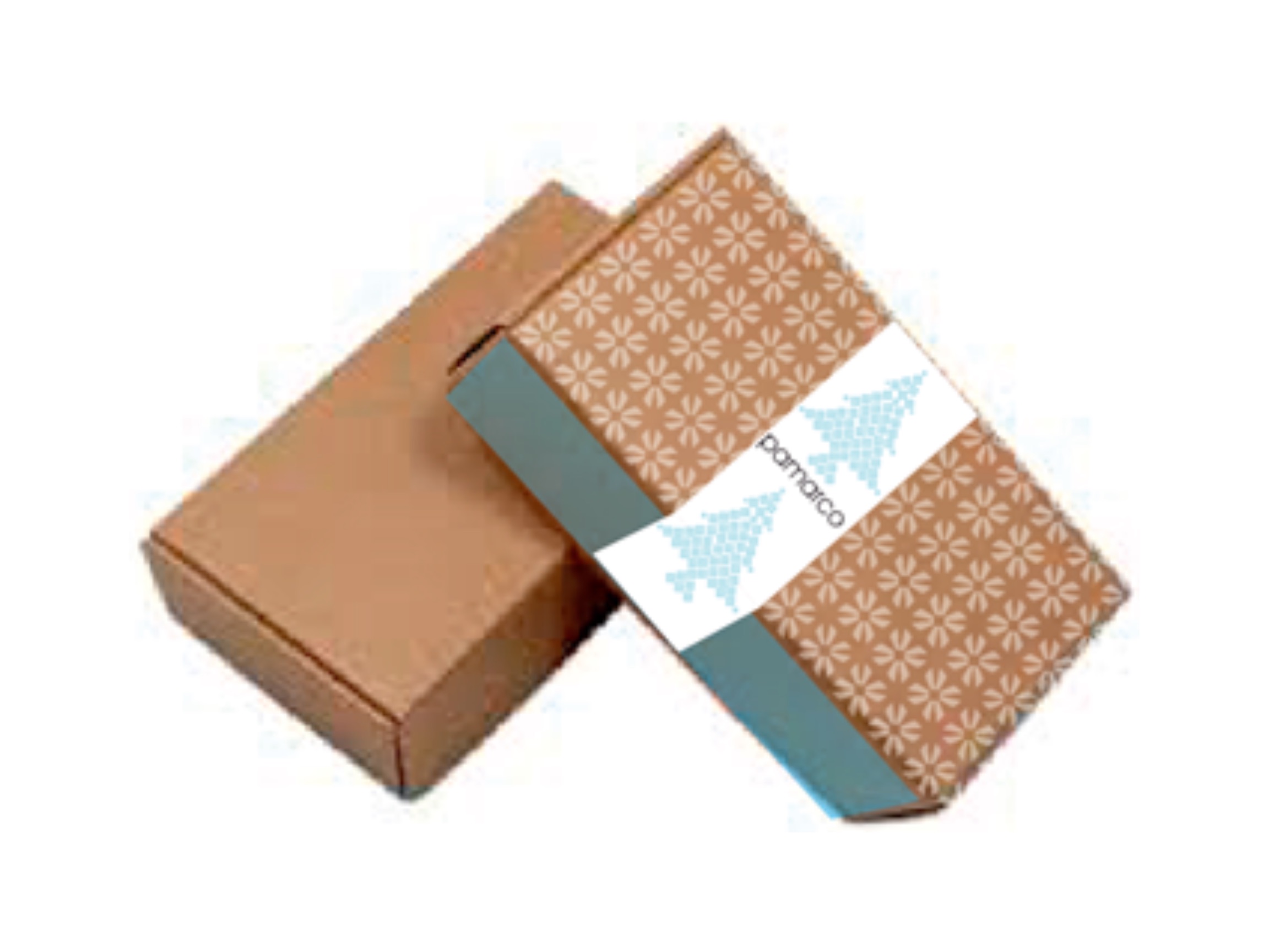 Recognizing the Clemson University Students in Pamarco’s Gift Box ...