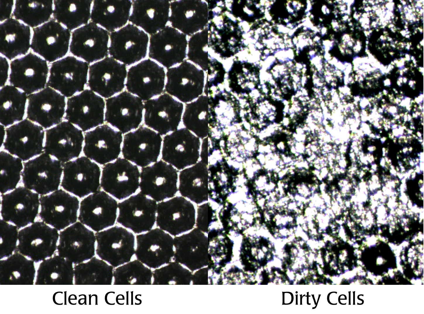 FIRST Advocate Stresses Importance of Optimization, Fingerprinting ...