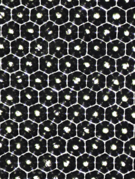 Anilox Cell Configuration Betters Delivery Without Compromising ...