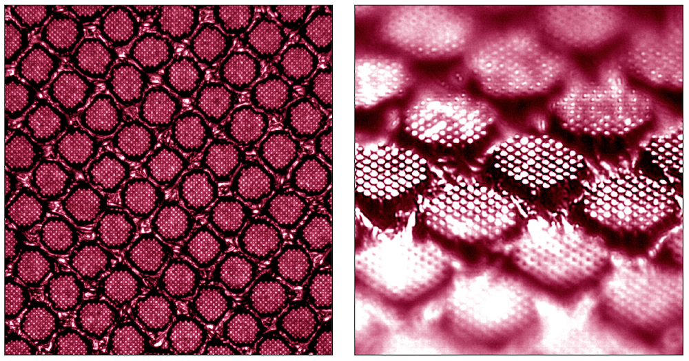 Premedia Executives Talk Surface Optimization, Plate Consistency ...