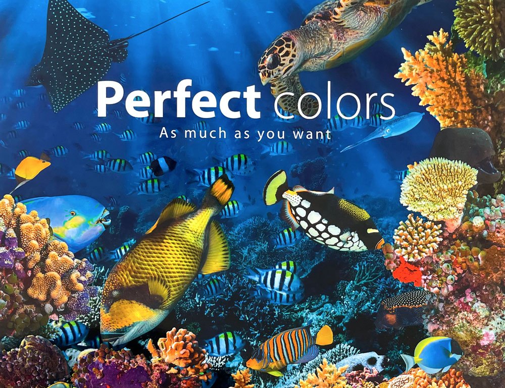 DuPont Cyrel Solutions’ Lightning LSH Plate, a 2022 FTA Technical ...